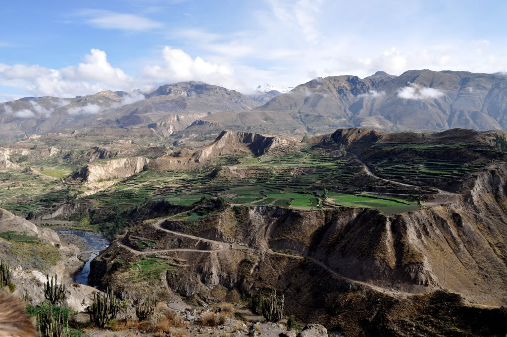 Canyon de Colca - Guide D'arequipa - Voyage Pérou