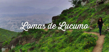 Visiter les Lomas de Lucumo à Lima | Voyage Perou